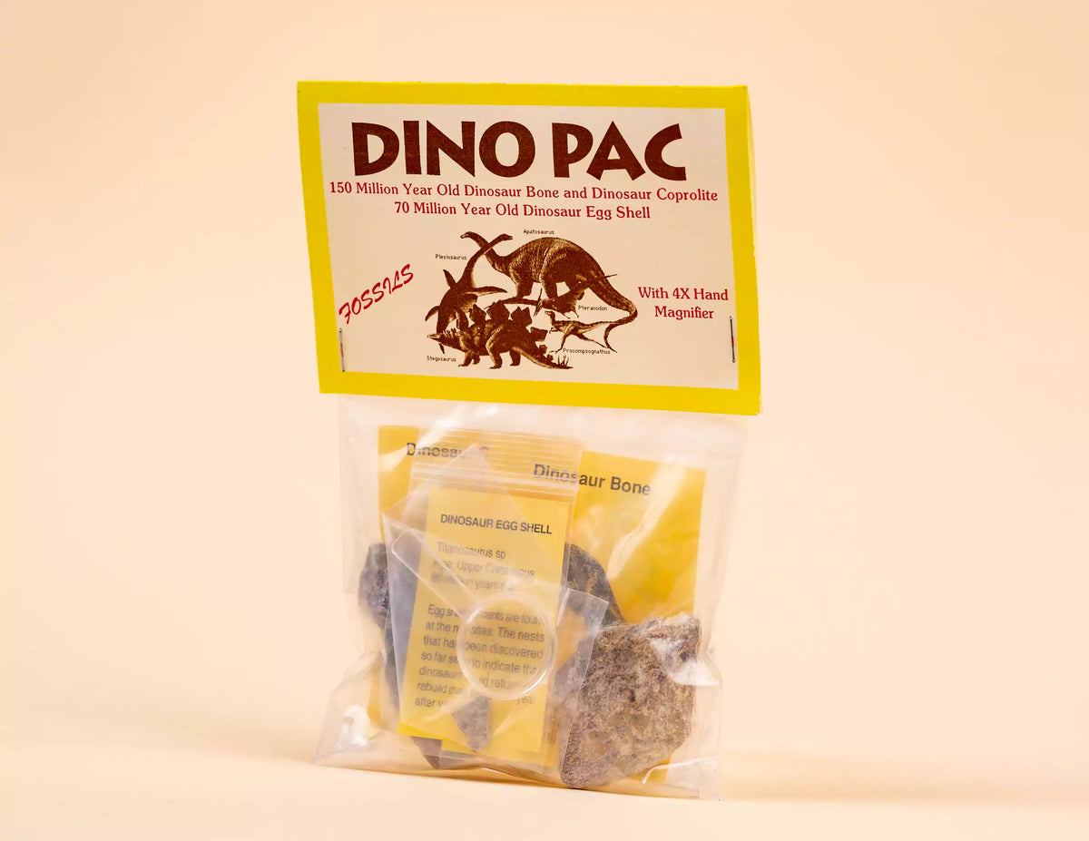 Dino Pac – Everything Utah