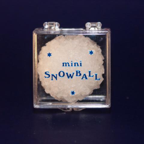 Mini Snowball – Everything Utah