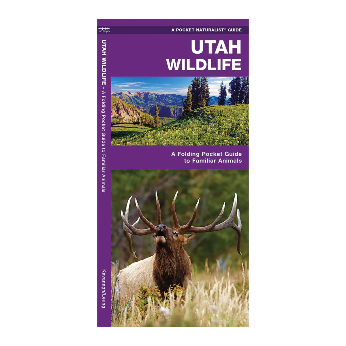 Utah Wildlife Pocket Guide – Everything Utah
